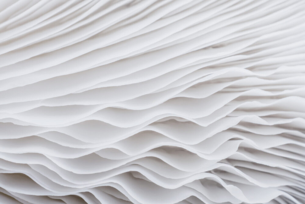 Peeling back the layers and exploring the landscape of mRNA patent ...