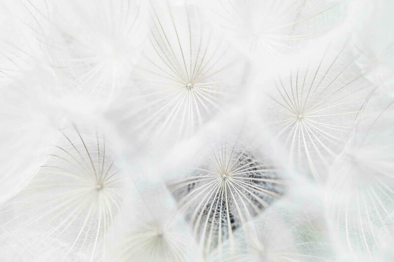 Kate Mahady | FB Rice | Patent & Trade Mark Attorneys